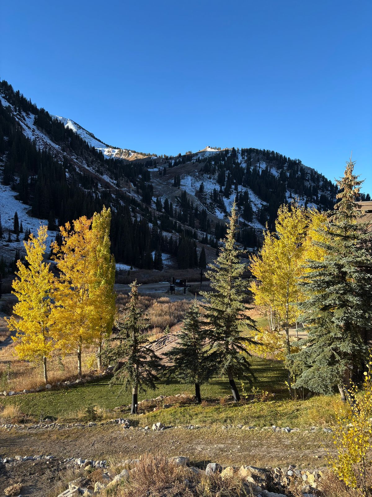 Human Genetics Department Retreat - Oct 23-24, 2025